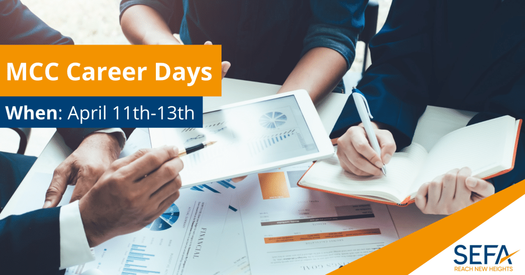 MCC Anonymised CV upload for committee - Sefa