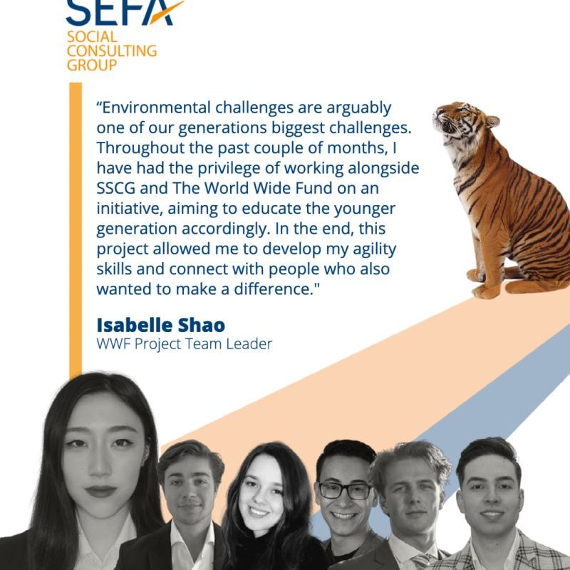 Sefa Social Consulting Group - Sefa